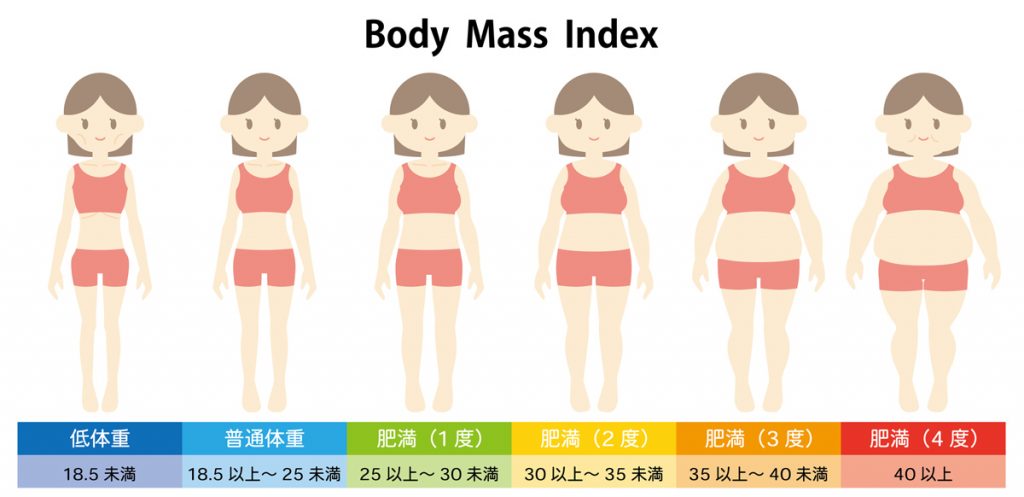 BMI20の男性女性の見た目は太ってる？痩せすぎ？芸能人 - Trairy Media