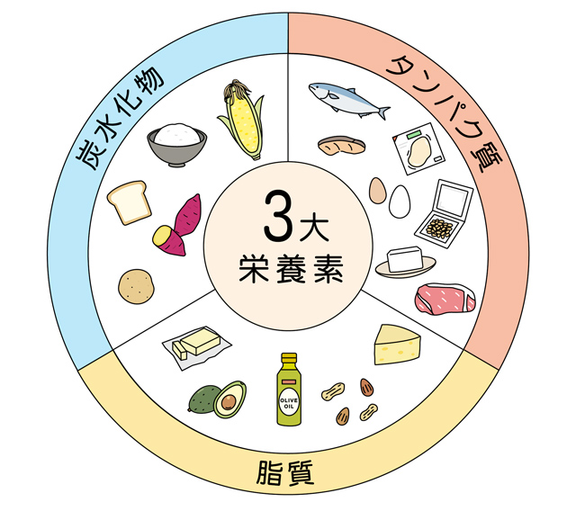オートミール30g大さじ何杯？カロリーや糖質はどのくらい？ - Trairy Media