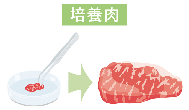 代替肉の種類と例11個！肉の代わりになる食材・大豆以外は？ - Trairy Media